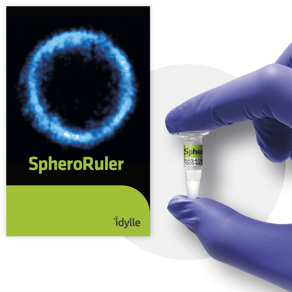 SpheroRuler - Calibration Beads for Super-resolution Microscopy - AFA ...