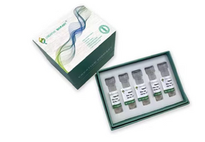 Palifermin, Recombinant human KGF - THP-0113 – AFSBio Inc.